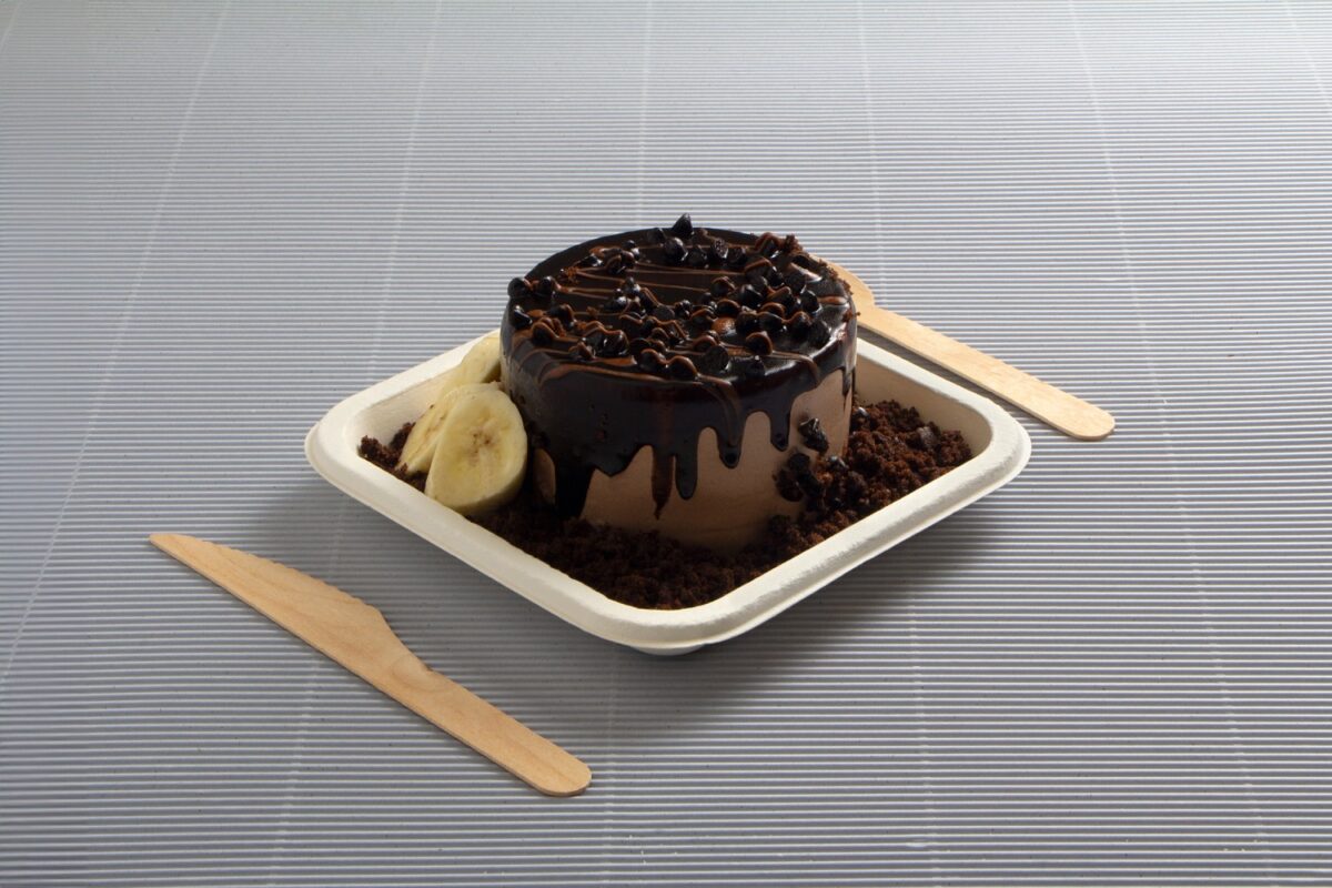 Sugarcane Bagasse Plates - Manufacturer of Bagasse Plates